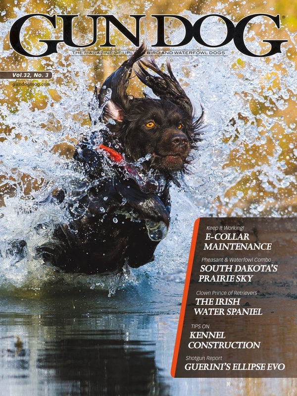 Listing of back issues of Gun Dog Magazine - Gun Dog