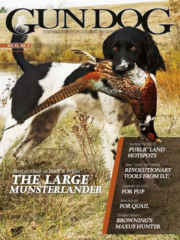Gun Dog is North America's premier authority on upland bird - Gun Dog