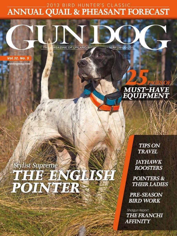 Gun Dog is North America's premier authority on upland bird - Gun Dog