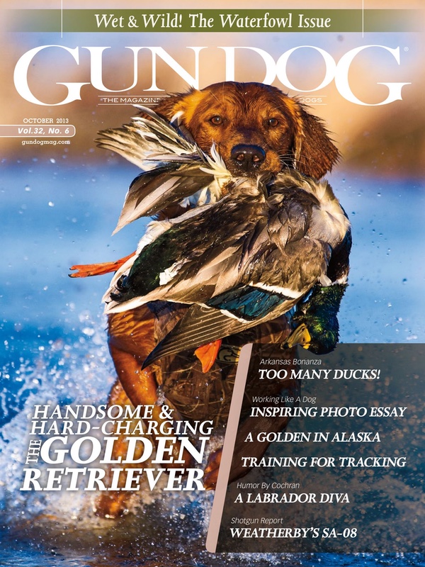 Gun Dog is North America's premier authority on upland bird - Gun Dog