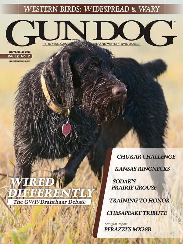 Gun Dog is North America's premier authority on upland bird - Gun Dog