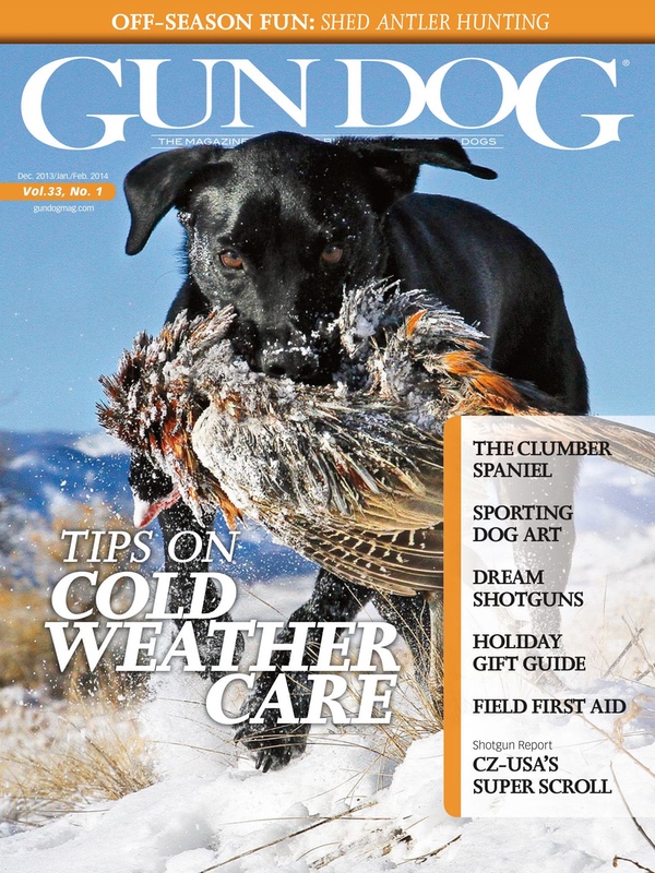 Did you miss an issue? Subscribers can read current or past - Gun Dog
