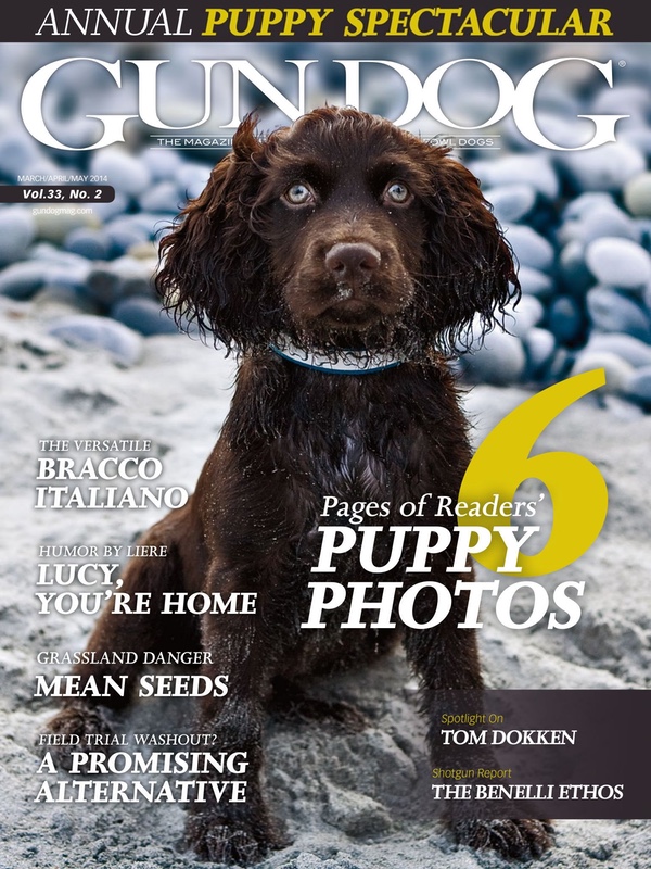 Gun Dog is North America's premier authority on upland bird - Gun Dog