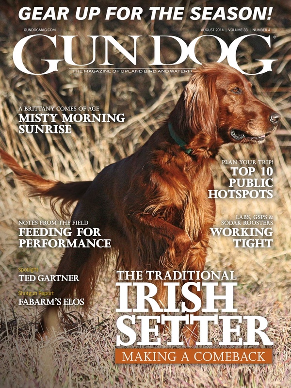Gun Dog is North America's premier authority on upland bird - Gun Dog