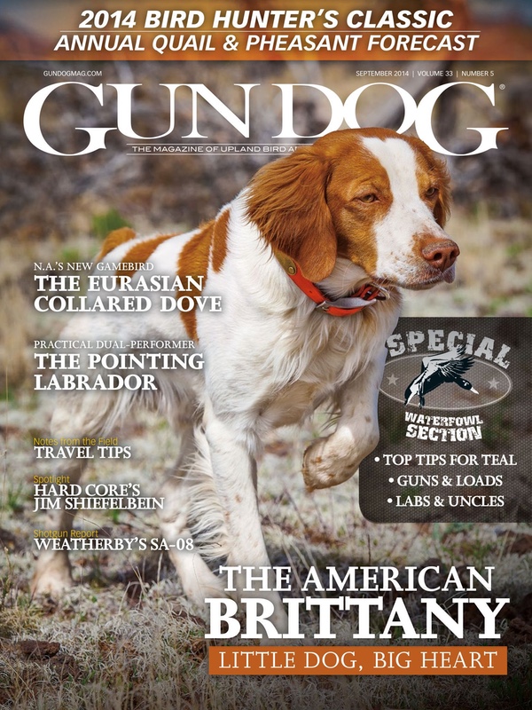 Gun Dog is North America's premier authority on upland bird - Gun Dog