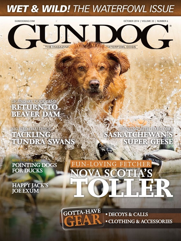 Gun Dog is North America's premier authority on upland bird - Gun Dog