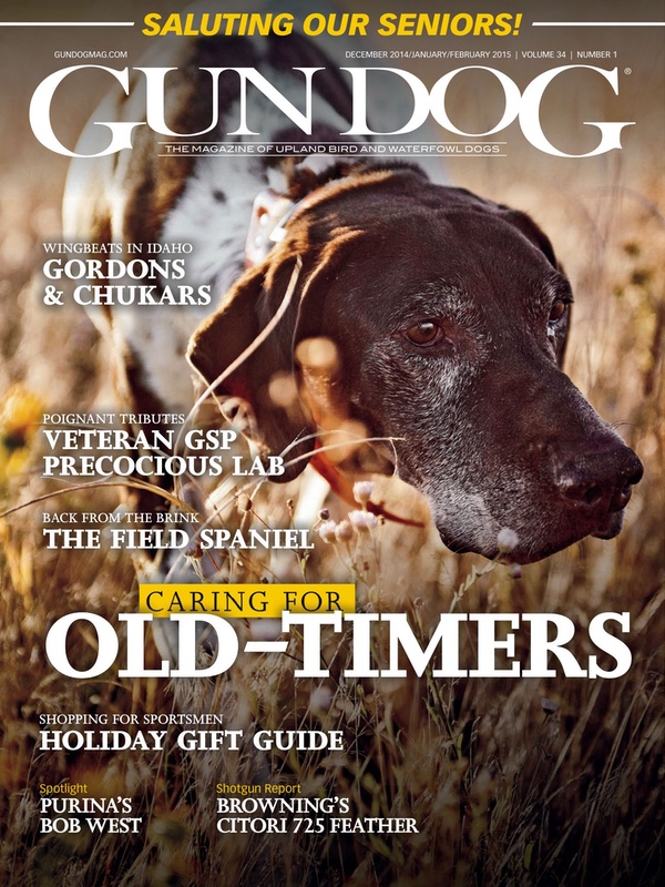 Gun Dog is North America's premier authority on upland bird - Gun Dog