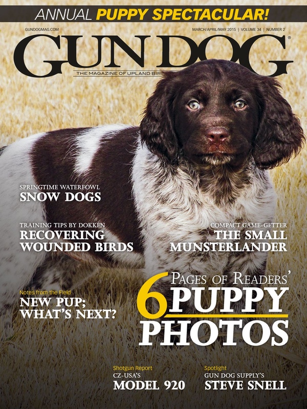 Gun Dog is North America's premier authority on upland bird - Gun Dog