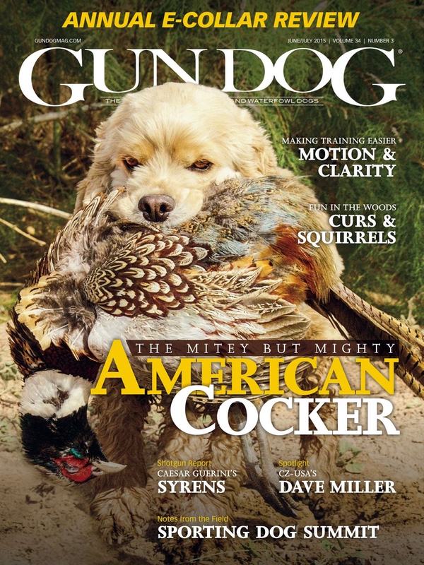 Gun Dog is North America's premier authority on upland bird - Gun Dog