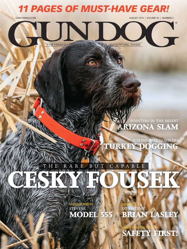 Gun Dog is North America's premier authority on upland bird - Gun Dog