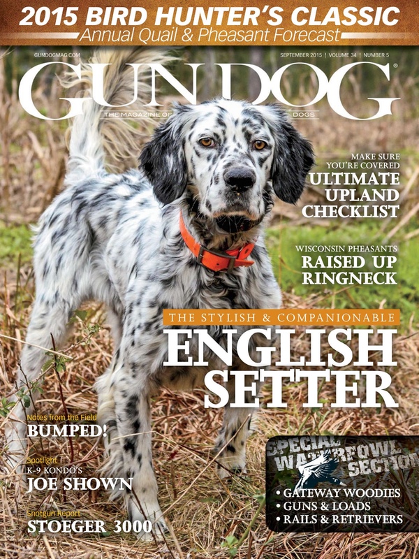 Gun Dog is North America's premier authority on upland bird - Gun Dog
