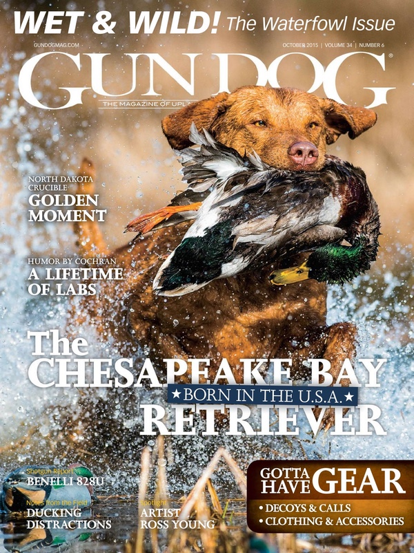 Gun Dog is North America's premier authority on upland bird - Gun Dog