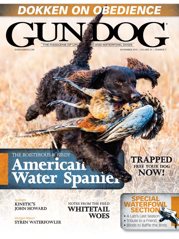 Gun Dog is North America's premier authority on upland bird - Gun Dog