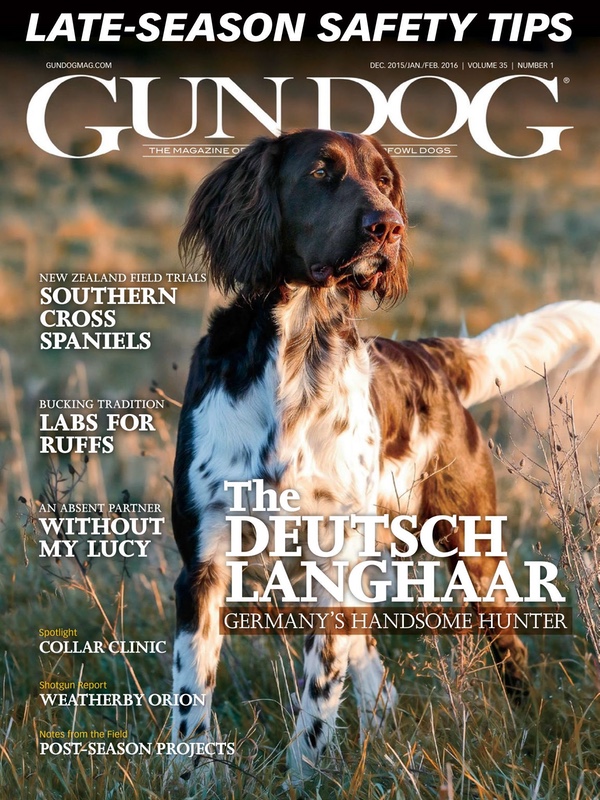 Gun Dog is North America's premier authority on upland bird - Gun Dog