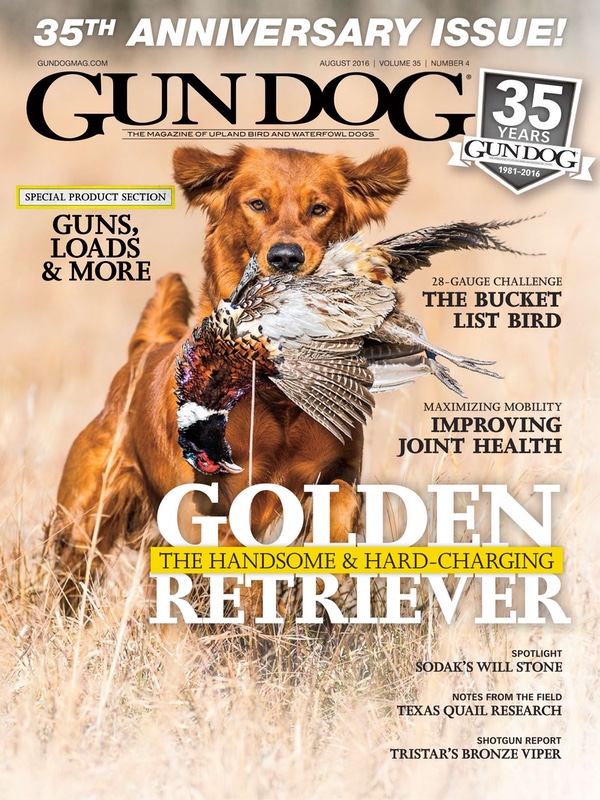 Gun Dog is North America's premier authority on upland bird - Gun Dog