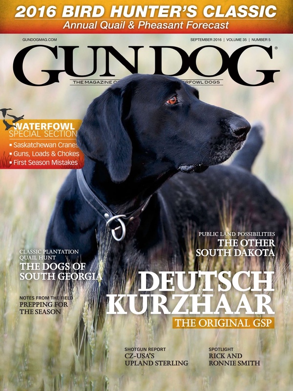 Gun Dog is North America's premier authority on upland bird - Gun Dog