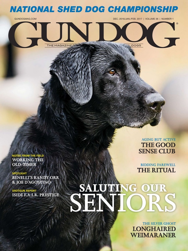 Gun Dog is North America's premier authority on upland bird - Gun Dog