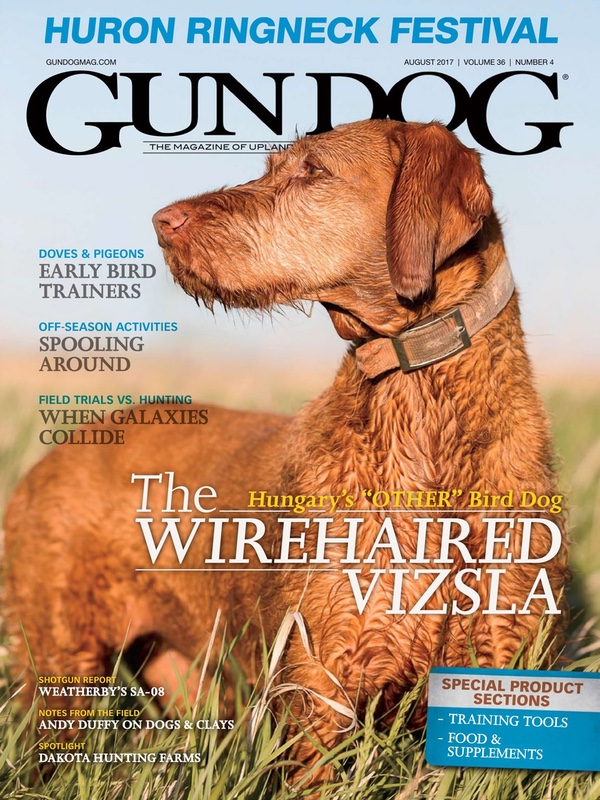 Gun Dog is North America's premier authority on upland bird - Gun Dog