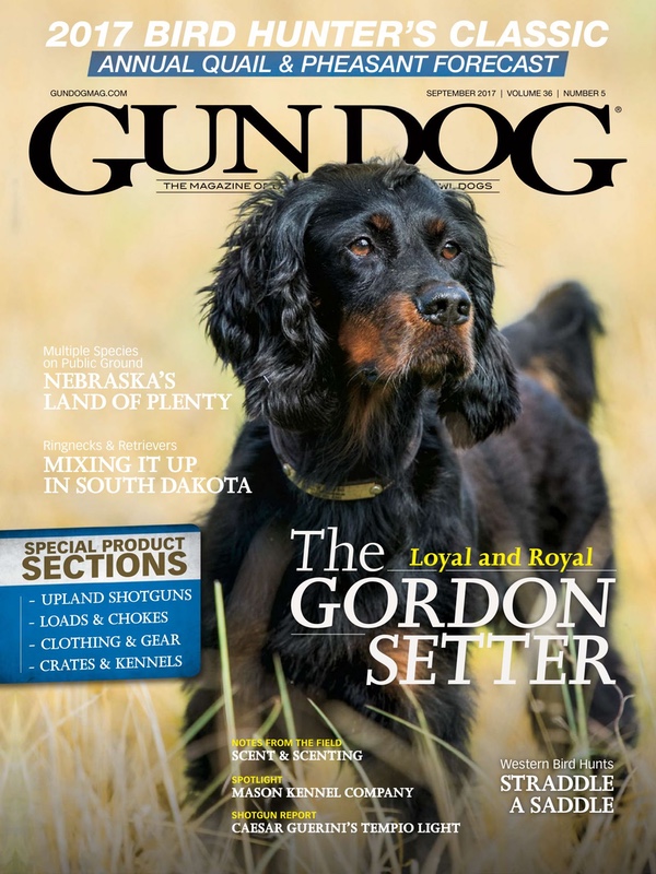 Gun Dog is North America's premier authority on upland bird - Gun Dog