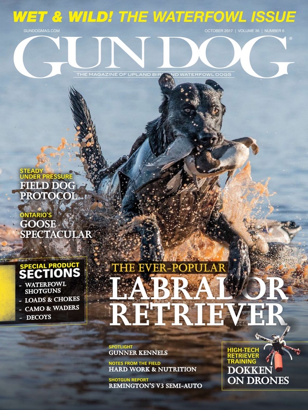 Gun Dog is North America's premier authority on upland bird - Gun Dog