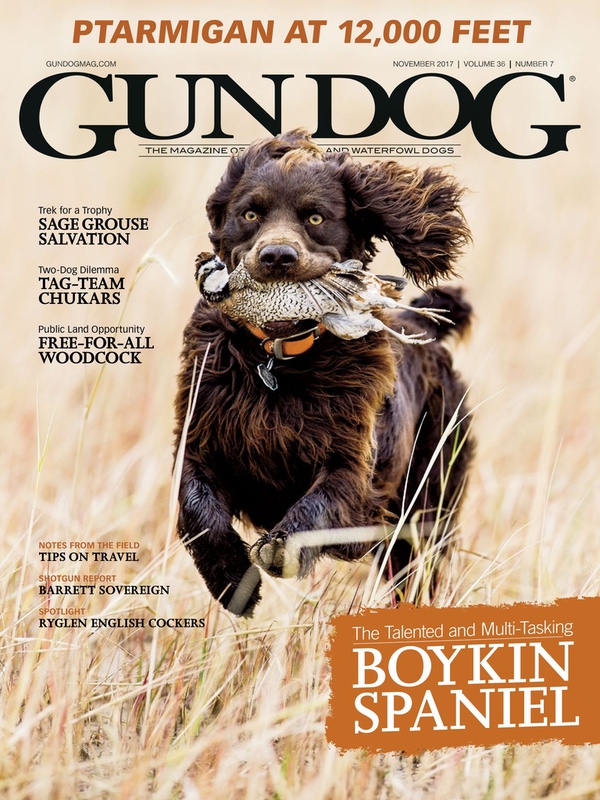 Gun Dog is North America's premier authority on upland bird - Gun Dog