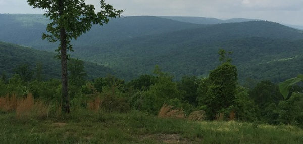 Paint Rock River Watershed - Open Space Institute (en-US)