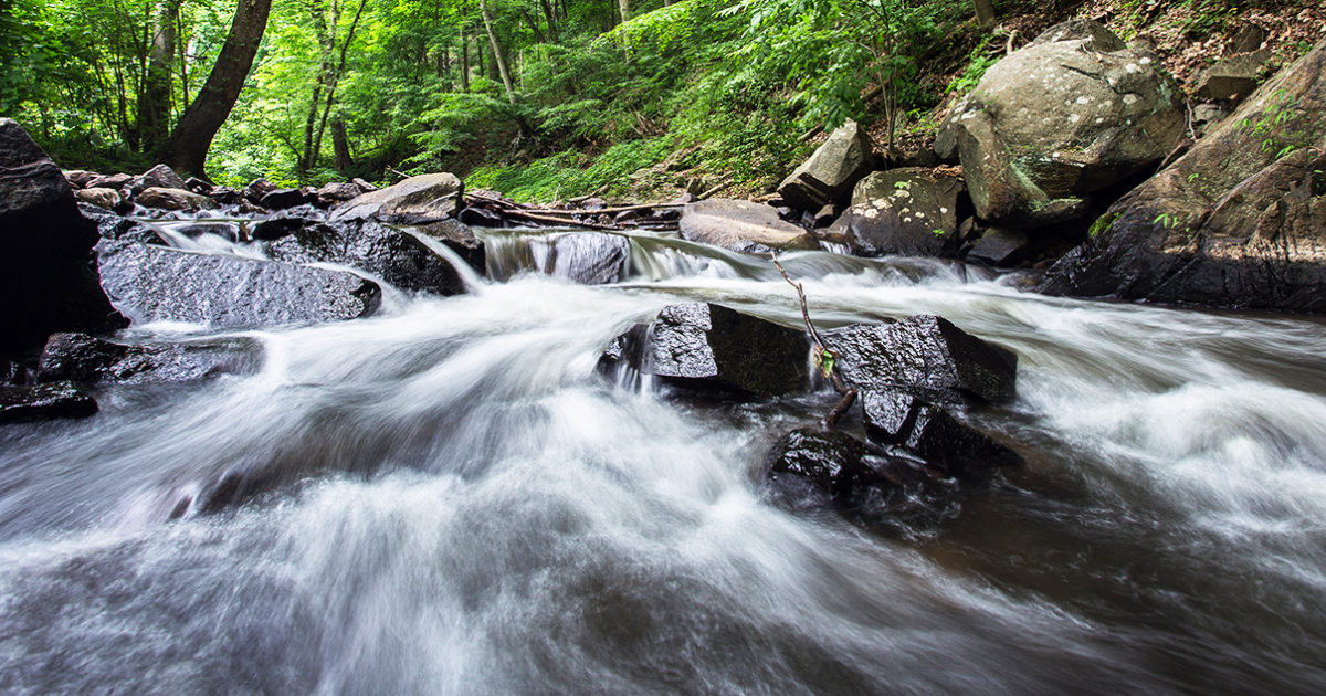 Protecting Forests Ensuring Clean Water in the Delaware - Open Space ...