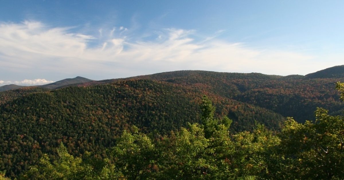 OSI Grant Enables Completion of Pioneering Carbon-Offset Land ...