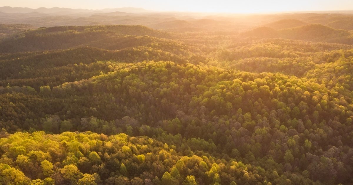 2021 Year in Review: OSI Land Protection Victories for People and ...