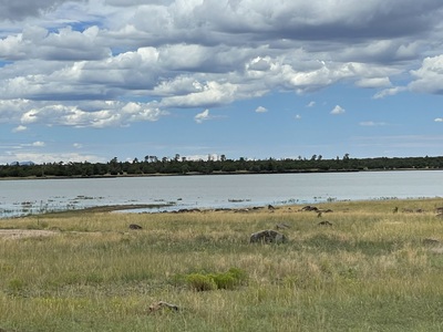 Osprey Watch - Osprey Nest Monitoring Program