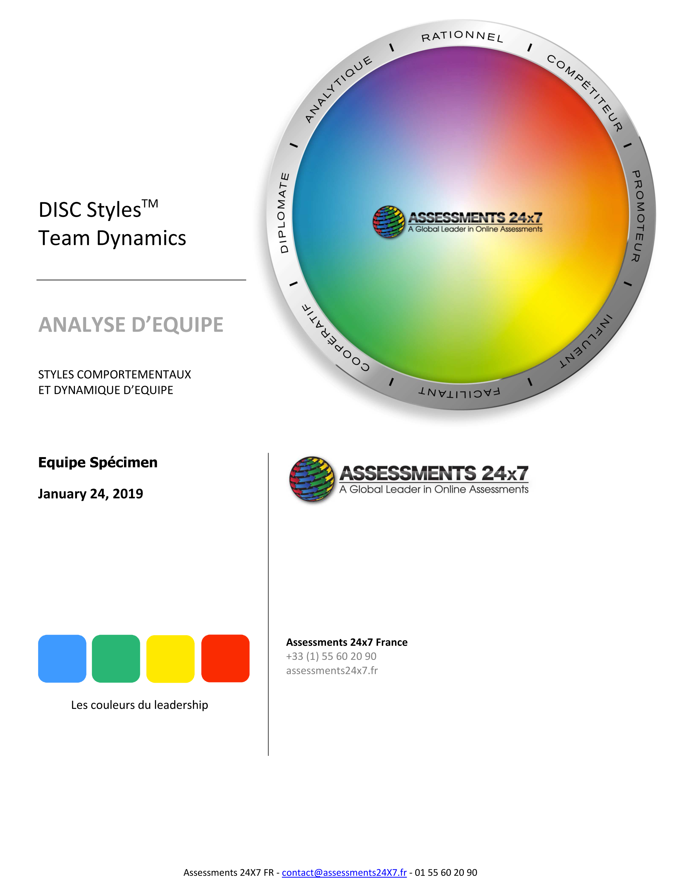 DISC - Analyse d''Equipe