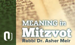 Meaning in Mitzvot