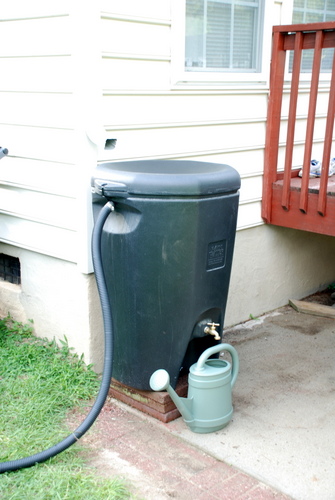 Rain Water Solutions Rain Barrel - Lively Green Door