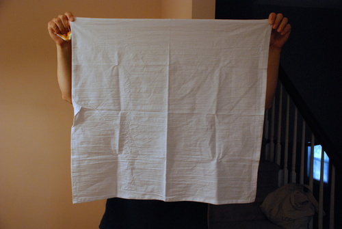 Lively Green Door | Living Without Paper Towels