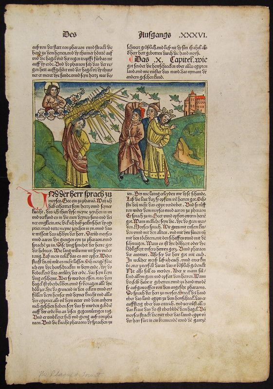 500 years on. Martin Luther and the Protestant Reformation. Online ...