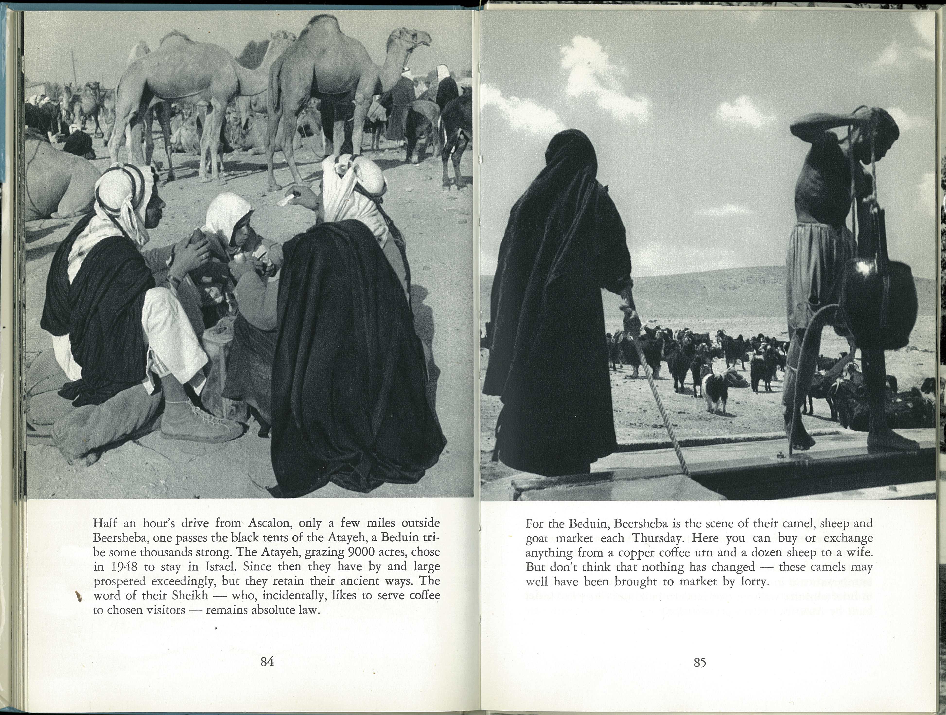 Online exhibition, University of Otago Library, Dunedin, New Zealand