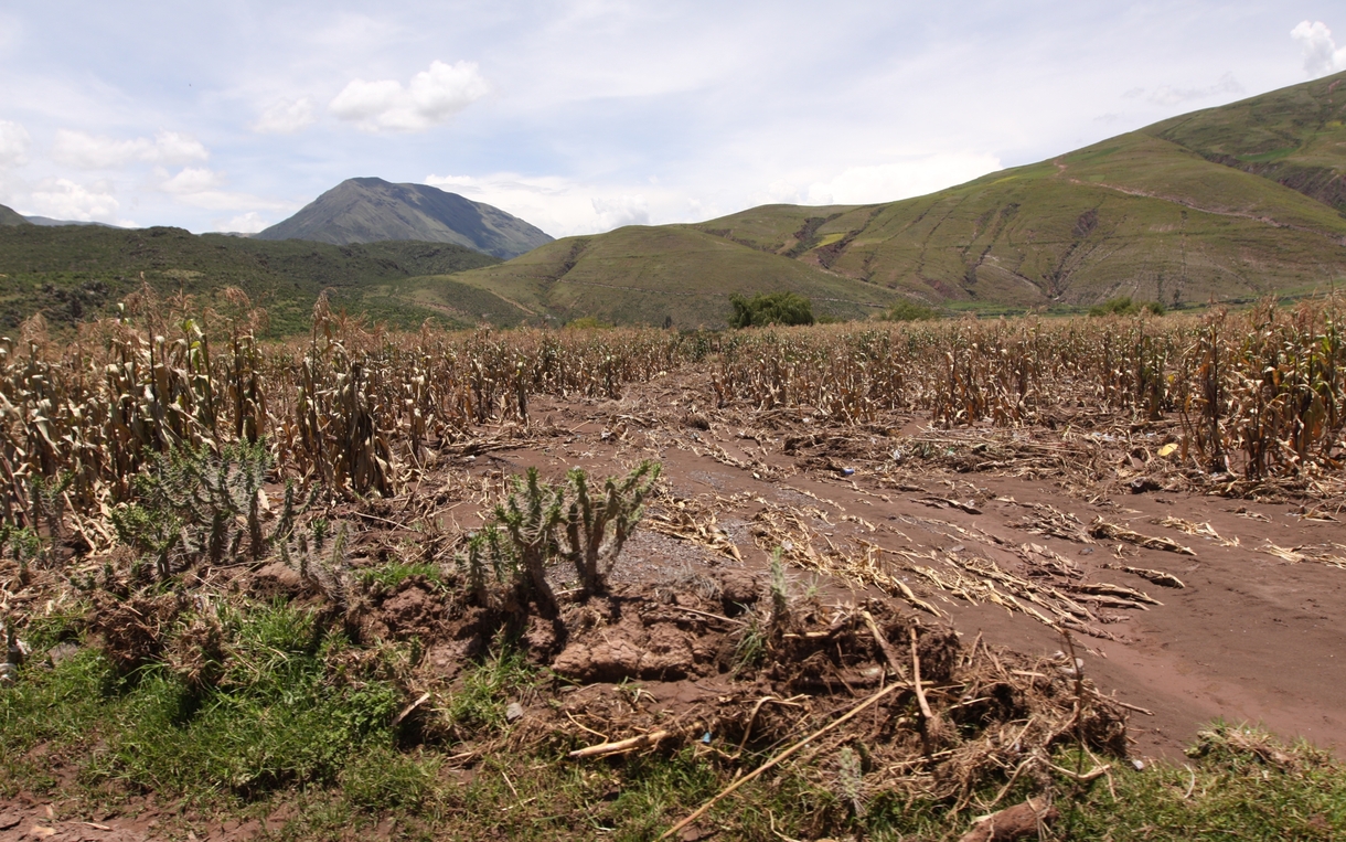 In Peru, farmers and shopkeepers wonder how they will begin again after ...