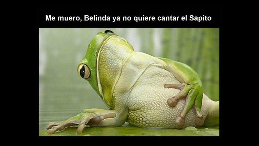 Belinda no quiso cantar El Sapito y los memes no se hicieron esperar