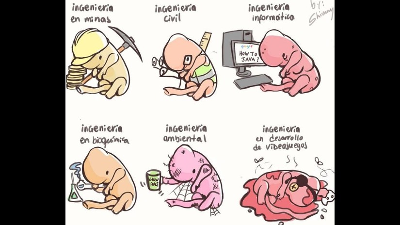 Los mejores memes del feto ingeniero que invade en las redes sociales