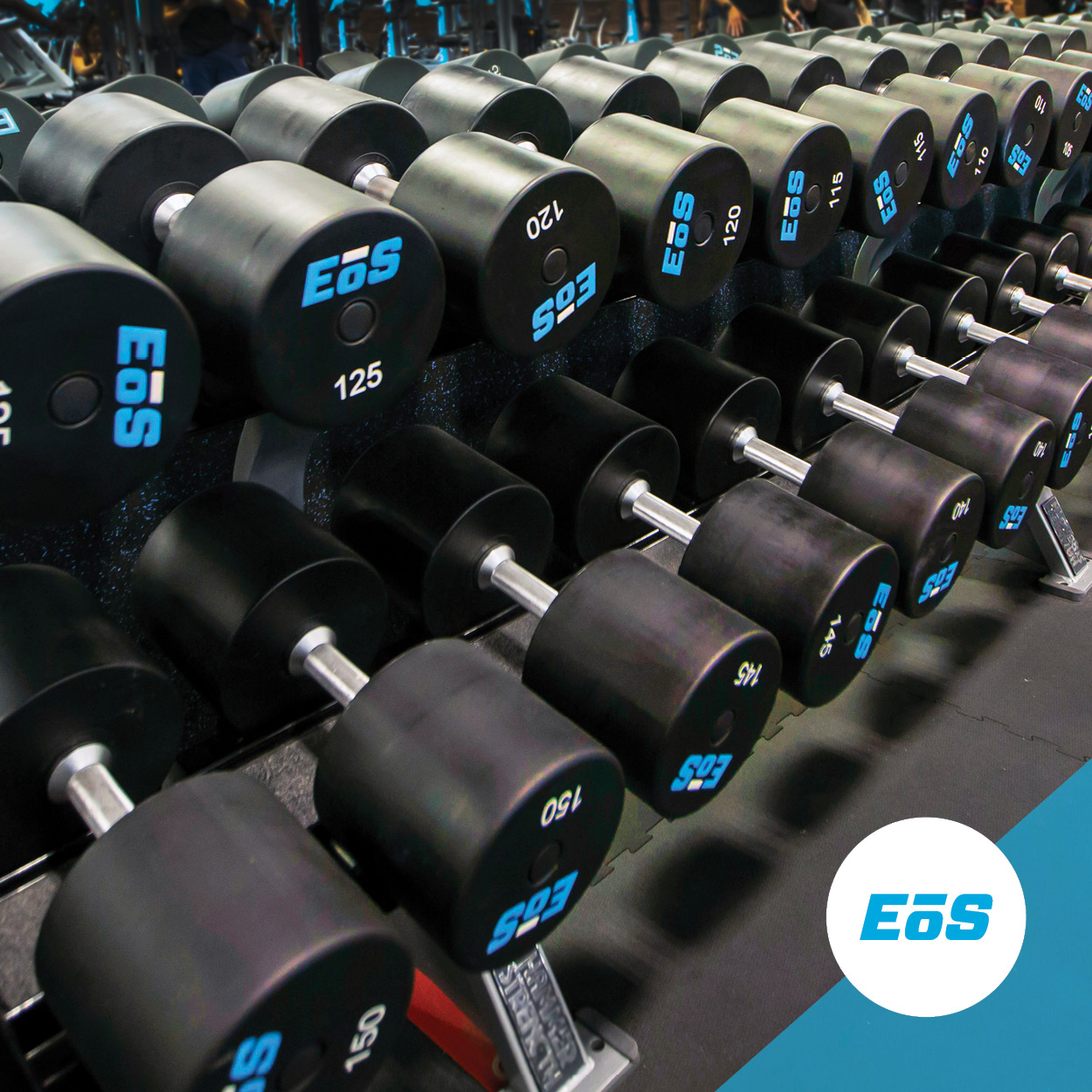 EoS Fitness - Gym - Coral Springs, FL 33065