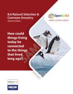8.6 Natural Selection and Common Ancestry Teacher Edition Sample ...