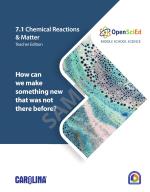 7.1 Chemical Reactions and Matter Teacher Guide Sampler - Powered by ...