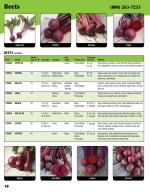 2025 CAD Commercial Vegetable Seed Catalog - Powered by PageTurnPro.com