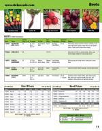2025 CAD Commercial Vegetable Seed Catalog - Powered by PageTurnPro.com