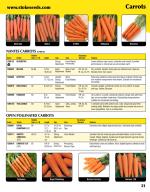 2025 CAD Commercial Vegetable Seed Catalog - Powered by PageTurnPro.com