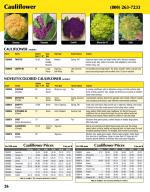 2025 CAD Commercial Vegetable Seed Catalog - Powered by PageTurnPro.com