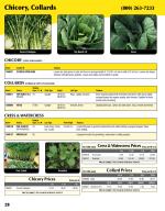 2025 CAD Commercial Vegetable Seed Catalog - Powered by PageTurnPro.com
