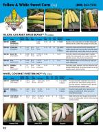 2025 CAD Commercial Vegetable Seed Catalog - Powered by PageTurnPro.com