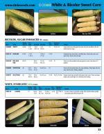 2025 CAD Commercial Vegetable Seed Catalog - Powered by PageTurnPro.com