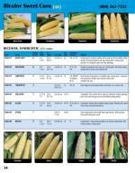 2025 CAD Commercial Vegetable Seed Catalog - Powered by PageTurnPro.com